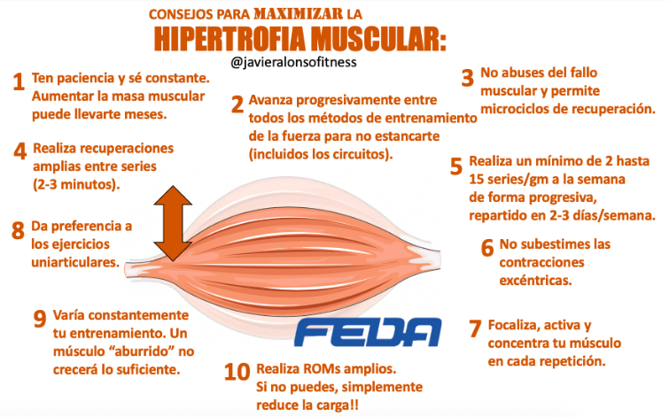 ᐉ ¿Cómo saber si llego a la hipertrofia? ️ Peso Muerto