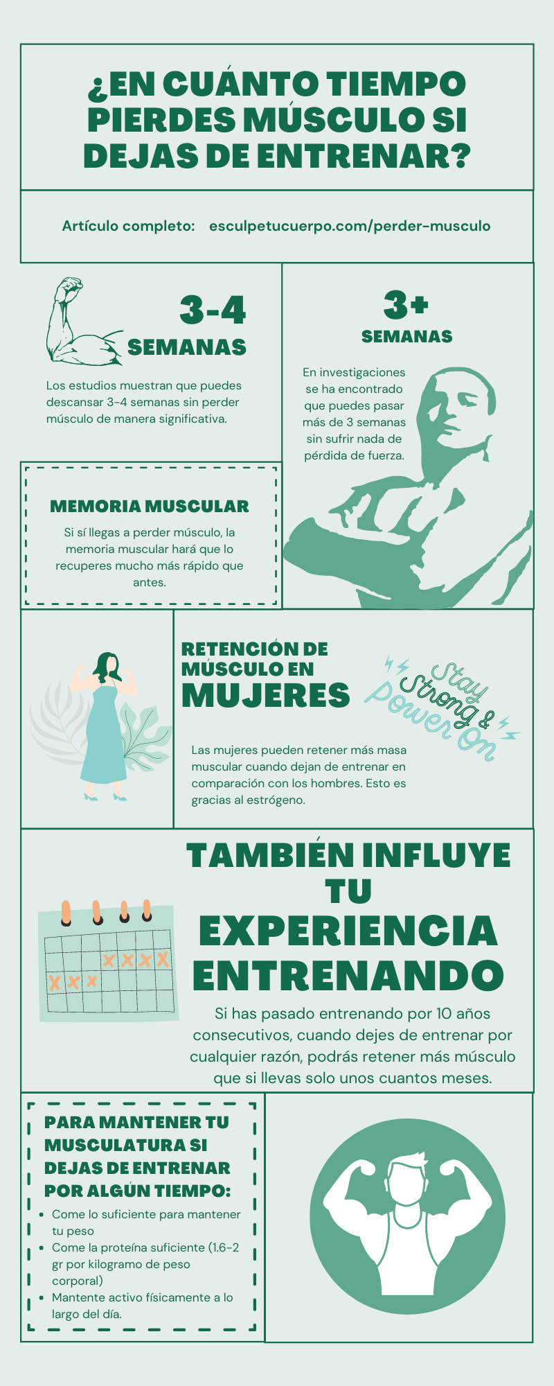ᐉ ¿Cuándo empieza a decaer la masa muscular? ️ Peso Muerto